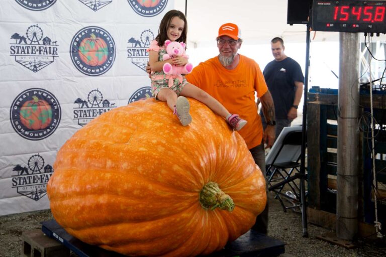 Giant vegetable growers rack up new records, and rookie wins at State ...
